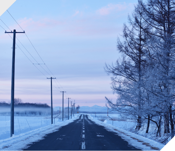 Nisshoの強みとは？ | スタッフblog | Nissho